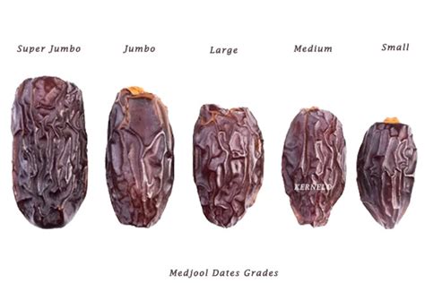 Medjool Dates Price