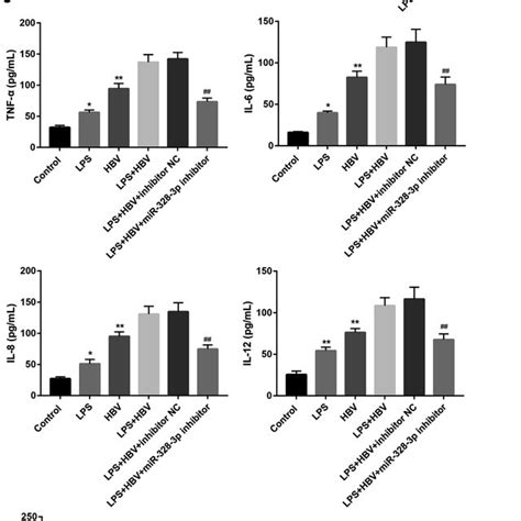 Mir 328 3p Inhibitor Suppresses Phbv13 Induced Hbv Activity Thle 2