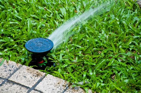 The Benefits Of An Automated Sprinkler System