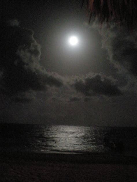 Lua Brilhante Noite Escura Água Foto gratuita no Pixabay Pixabay