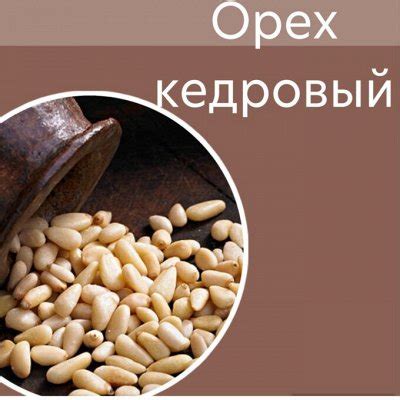 Кедровый орех Сибирский - Орехи, сухофрукты. Масло оливковое по скидке ...