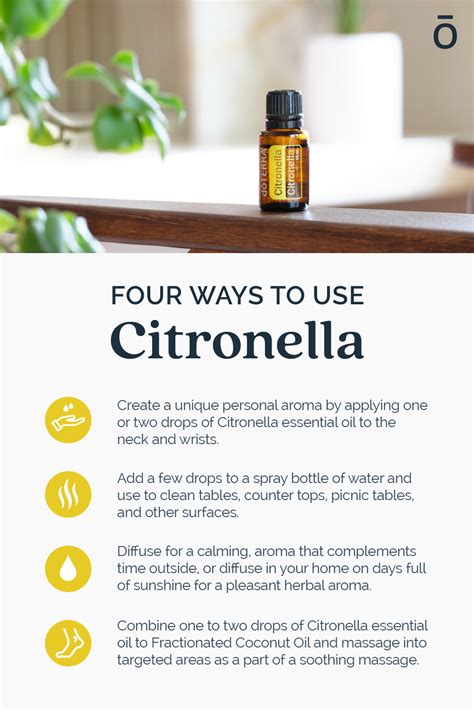 12 Reasons Why Citronella Essential Oil Belongs In Every Household