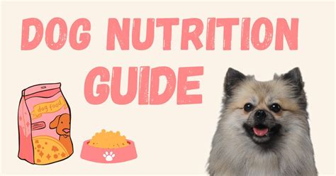 Dog Nutrition Guide 8 Key Elements To Know