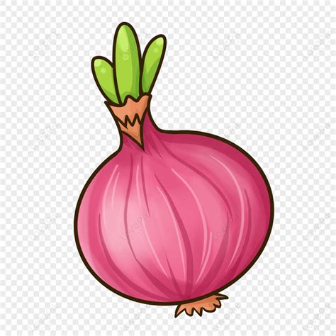 絳紅色的新鮮onion Clipart 洋蔥剪貼畫 深紅色 樹芽發芽PSD圖案素材免費下載可愛卡通圖片尺寸1200 1200px