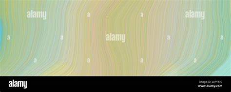 Colorful Designed Horizontal Header With Ash Gray Dark Khaki And Light