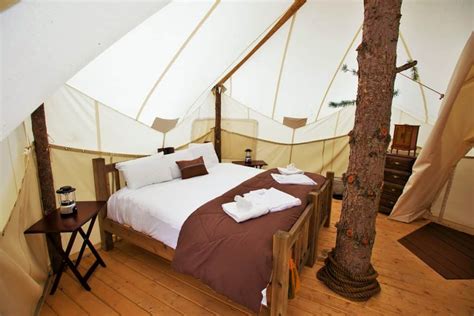 Glacier Under Canvas Treehouse