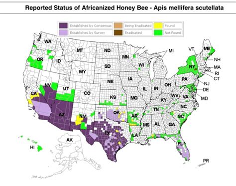 Borders Invasive Species