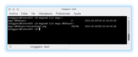 Mega From The Terminal With Megacmd