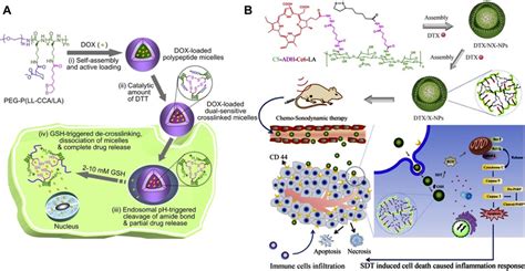Disulfide Crosslinked Nanomedicine Synthesized By Oxidizing The Lipoic Download Scientific