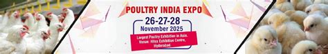 Sustainable Practices In Poultry Farming A Path Forward