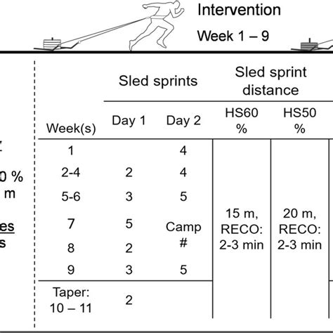 Training Program Design Hs Heavy Sled Sled Velocity Verification