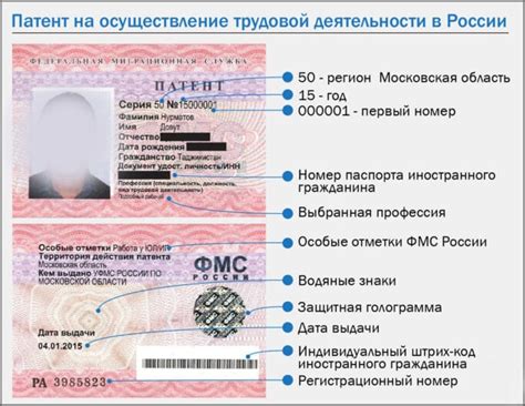 Патент на работу для граждан Украины в 2025 году оформление стоимость