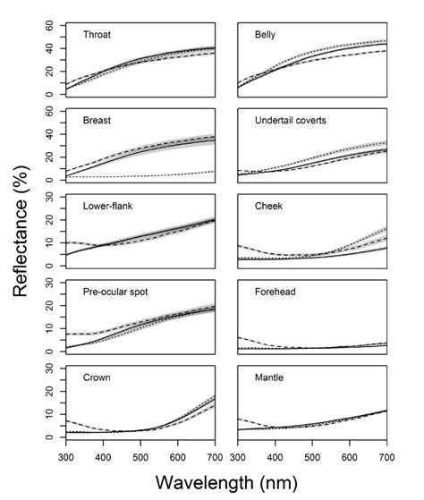 Average Reflectance Spectra For Ten Body Regions Measured In 11 M B