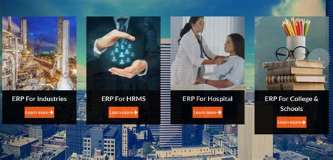 techlene rexo erp software software development software development