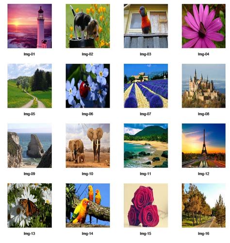 test images used for deblurring of synthetic blurred images download