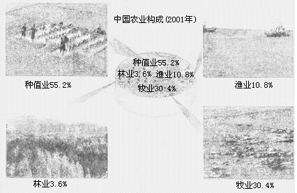 我国海洋捕捞和养殖发达的地区分布在 一带 淡水渔业最发达的地区是 青夏教育精英家教网