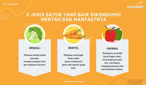 7 Manfaat Sayur Mentah Untuk Kesehatan Tubuh Harus Tahu