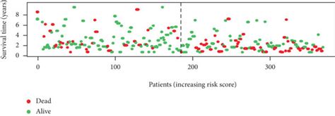 Validation Of The Autophagy Related Lncrna Prognostic Signature A