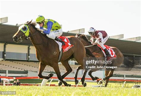 132 John Vitale Photos And High Res Pictures Getty Images