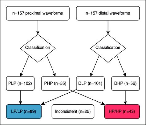 Waveform Based Classification Of The Individual Flow Waveforms The Download Scientific Diagram