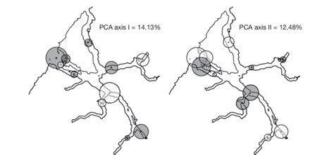 Results Of Principal Component Analysis Pca Of The Partial Redundancy