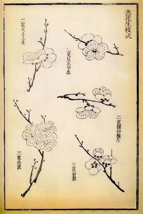 a 高清图片堆糖美图壁纸兴趣社区