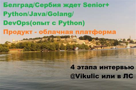 Vacancy вакансия Python Golang Java Senior сербия белград