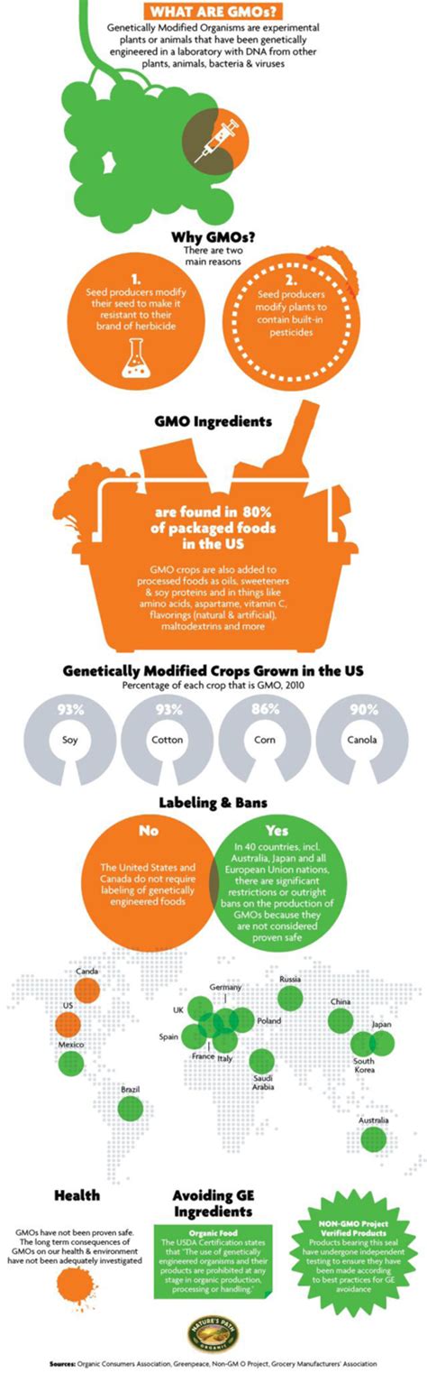 Gmo Basics Infographic Eat Drink Better