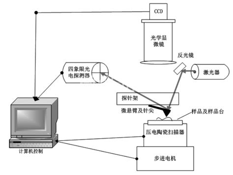 新闻资讯 微仪光电原子力显微镜销售部