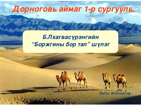 блхагвасүрэнгийн боржгины бор тал Odp