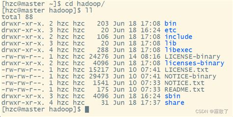 Centos 7 Hadoop集群部署 Centos7 Hadoop集群搭建 Csdn博客