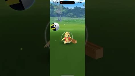 【ポケモンgo】色違いドッコラー！コミュニティデイ Shorts ポケモンgo動画まとめ