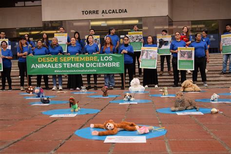 Desde septiembre los animales temen diciembre Protesta contra pólvora