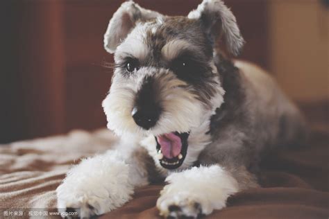 【机器学习】查全率（recall） 查准率（precision） F Measure Ap（average Precision） Map Yolo而分类问题中的查准率和查全率 Csdn博客