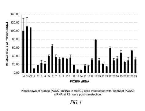 Compositions Comprising Human Pcsk9 And Apolipoprotein B Sirna And