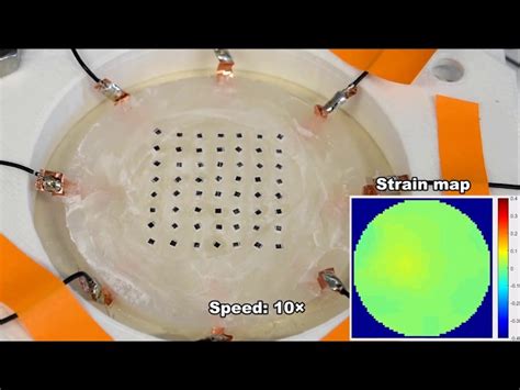 Building Code Australia Report