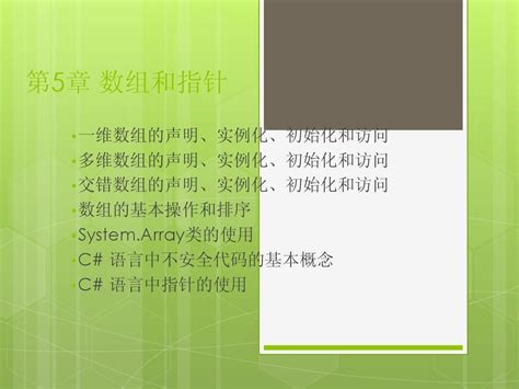 ch05 数组和指针 word文档在线阅读与下载 无忧文档
