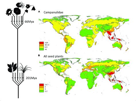 Global Patterns Of Plant Diversity In Ancient Plant Lineages That Download Scientific Diagram