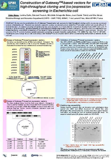 Construction Of Gateway Tmbased Vectors For Highthroughput Cloning Construction Of Gateway Tmbased Vectors For Highthroughput Cloning