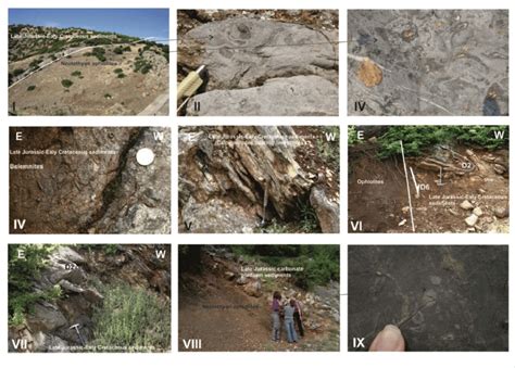 Field Photos Of The Late Jurassic And Late Jurassic Early Cretaceous