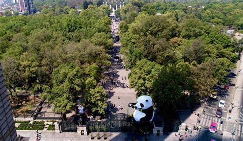 Bosque De Chapultepec on Twitter RT mroblesg Ya pueden disfrutar de Animalística Festival