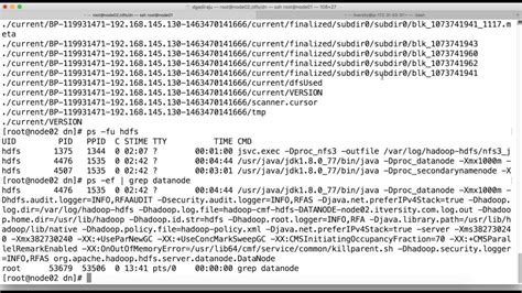 Hdfs Metadata Datanode Namenode And Secondary Namenode Youtube
