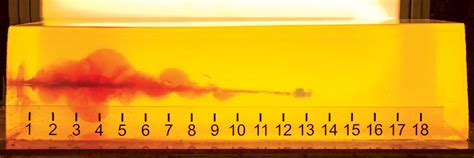 10mm Vs 40 Was The Fbi Wrong Or Right About This The Armory Life