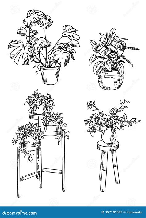 Set Of House Plants In Pots Vector Drawings Stock Vector Illustration