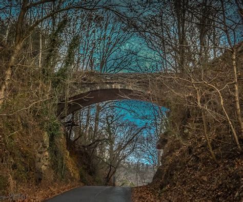 Zealandias Bridge Asheville Ce Quil Faut Savoir Pour Votre Visite