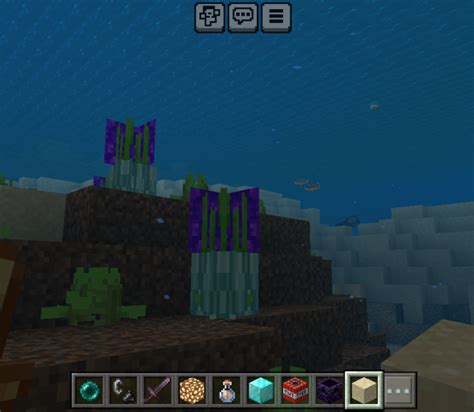 Minecraft Bug R Minecraft