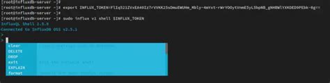 How To Install InfluxDB And Telegraf On Rocky Linux