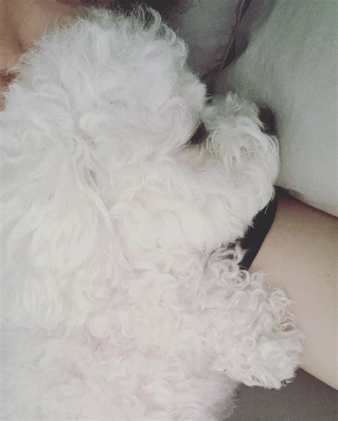 蕊♡ On Twitter น้องเล่อมาลงรุปที่คุณหนุน้องแดกัลนอนทับอยุ่บนตะว พ้อมแค
