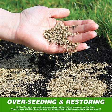 Groundmaster 5kg Hardwearing Tough Garden Premium Back Lawn Grass Seed