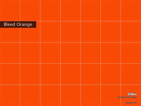 Bleed Orange Resources Bleed Orange Twibute 100